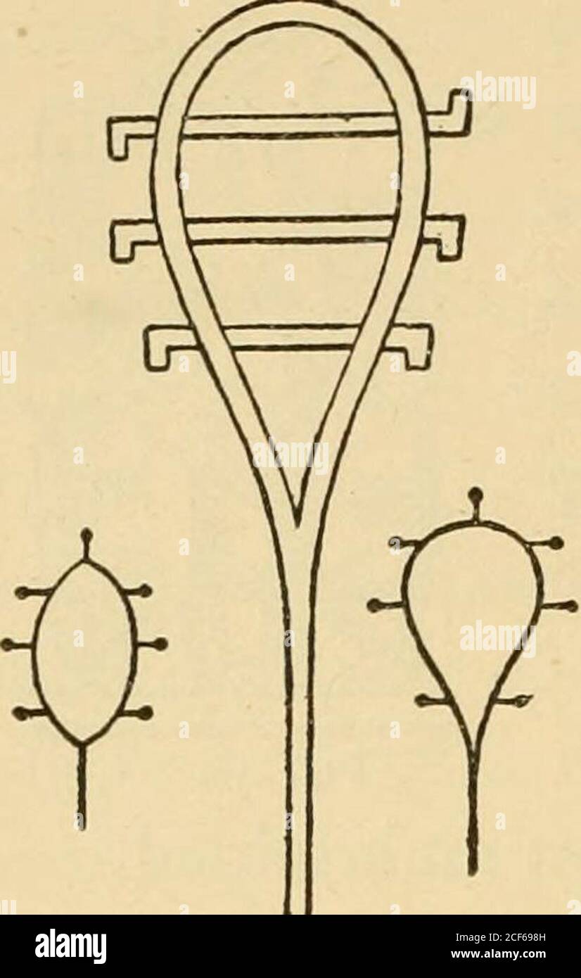 Phallic symbol symbol of power hi-res stock photography and images - Alamy