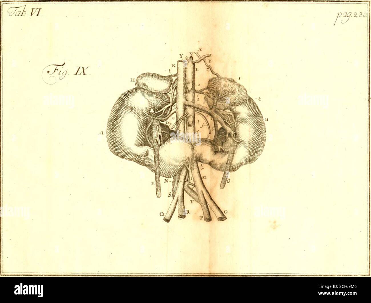 . Opuscula sua anatomica : de respiratione, de monstris. FIGURARUM ...