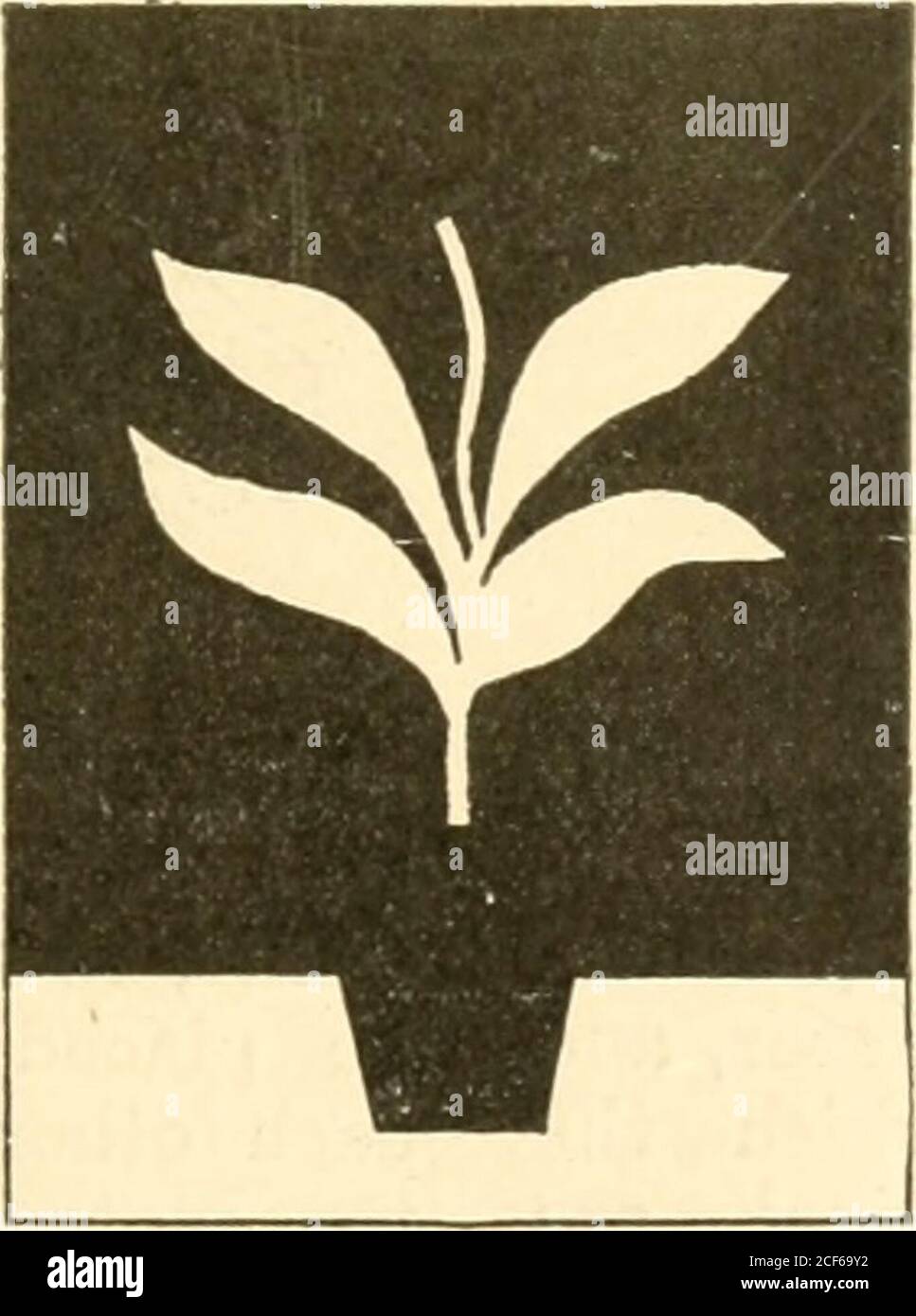 . The book of photography; practical, theoretical and applied Stock ...