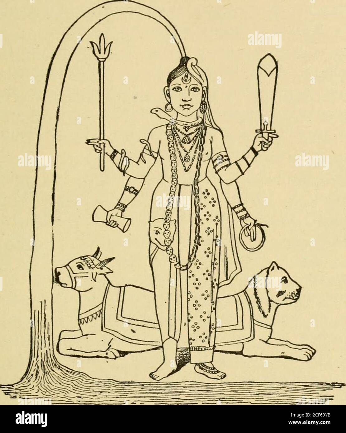 . Phallic worship : an outline of the worship of the generative organs ...