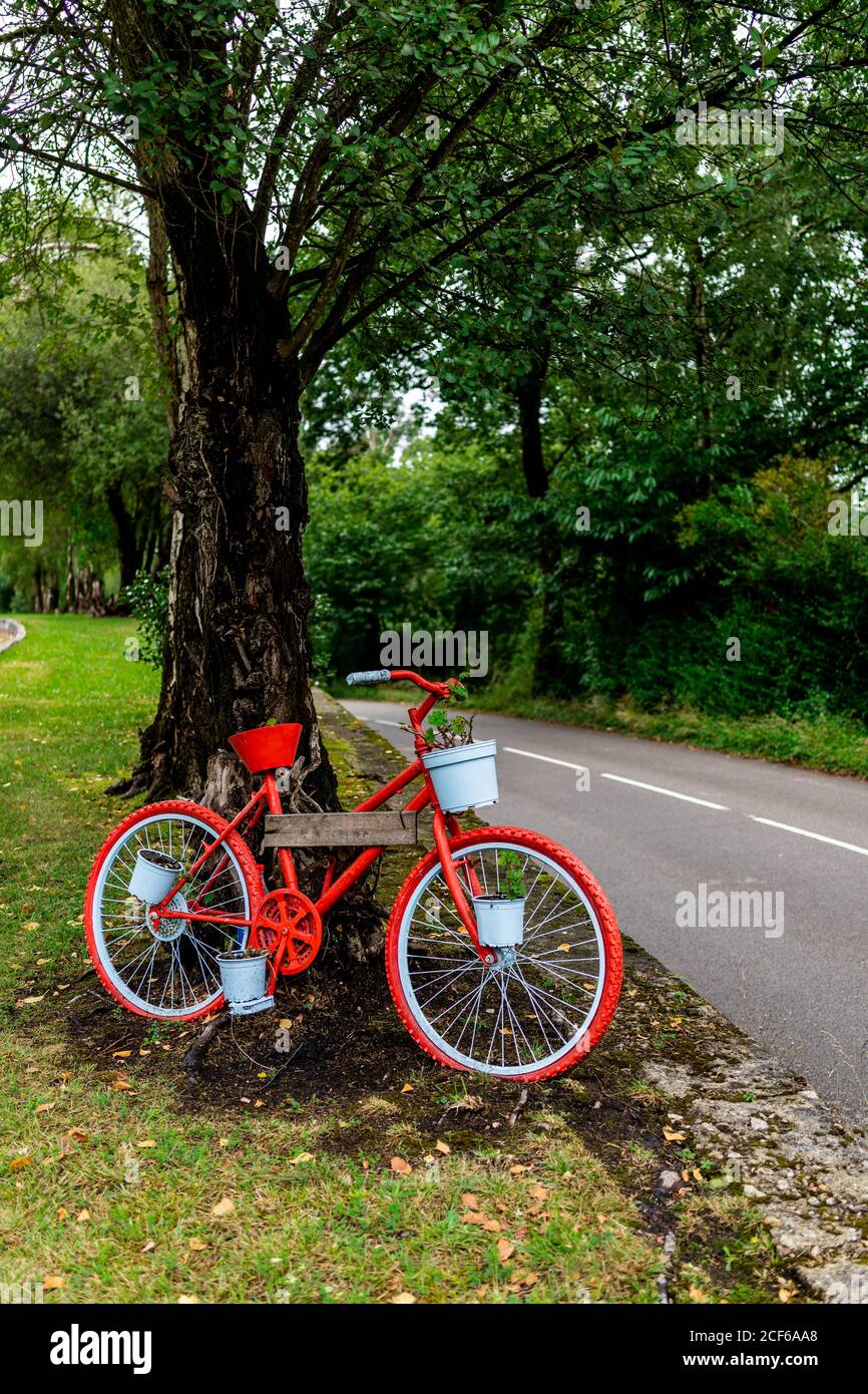 Red bike by tree along roadway in forest Stock Photo - Alamy