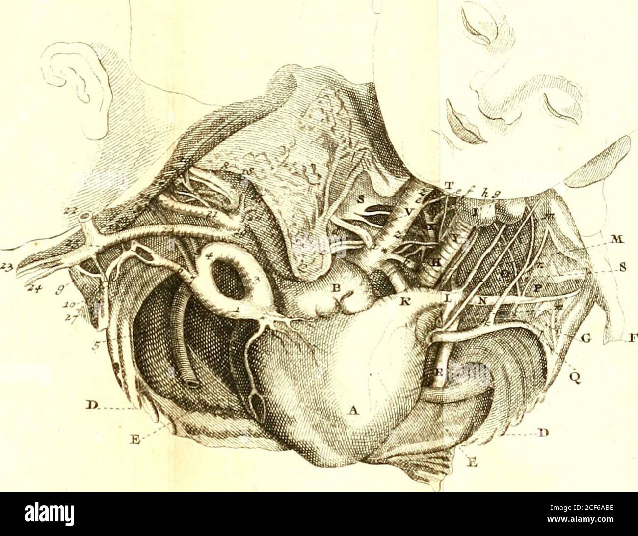 . Opuscula sua anatomica : de respiratione, de monstris. Ureteres.P ...