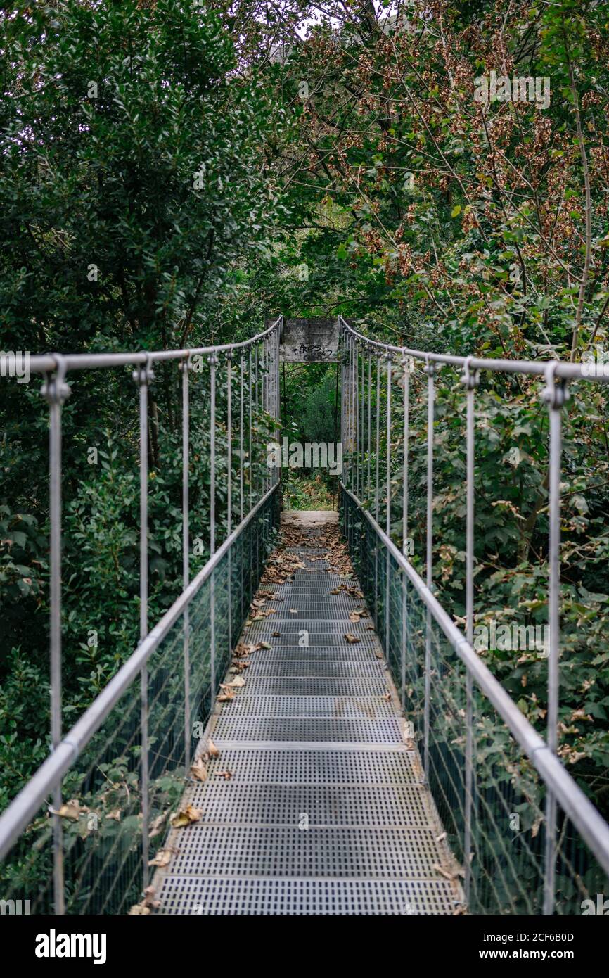 Hanging metal bridge through bushy forest Stock Photo - Alamy