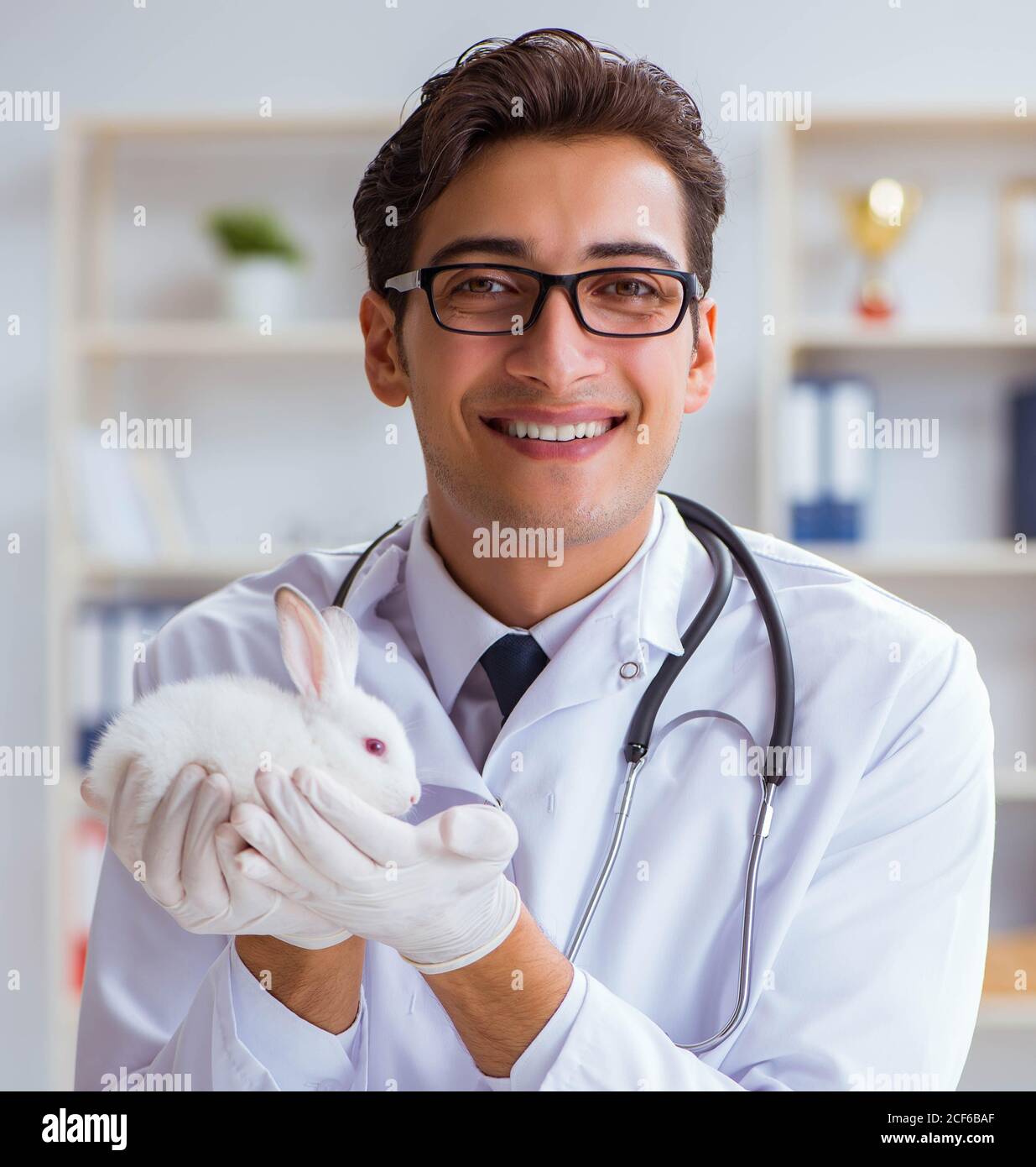 The vet doctor examining rabbit in pet hospital Stock Photo - Alamy