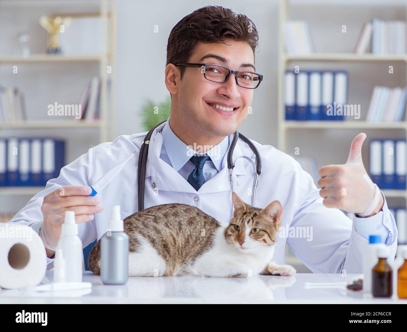 Cat visiting vet for regular check up Stock Photo - Alamy