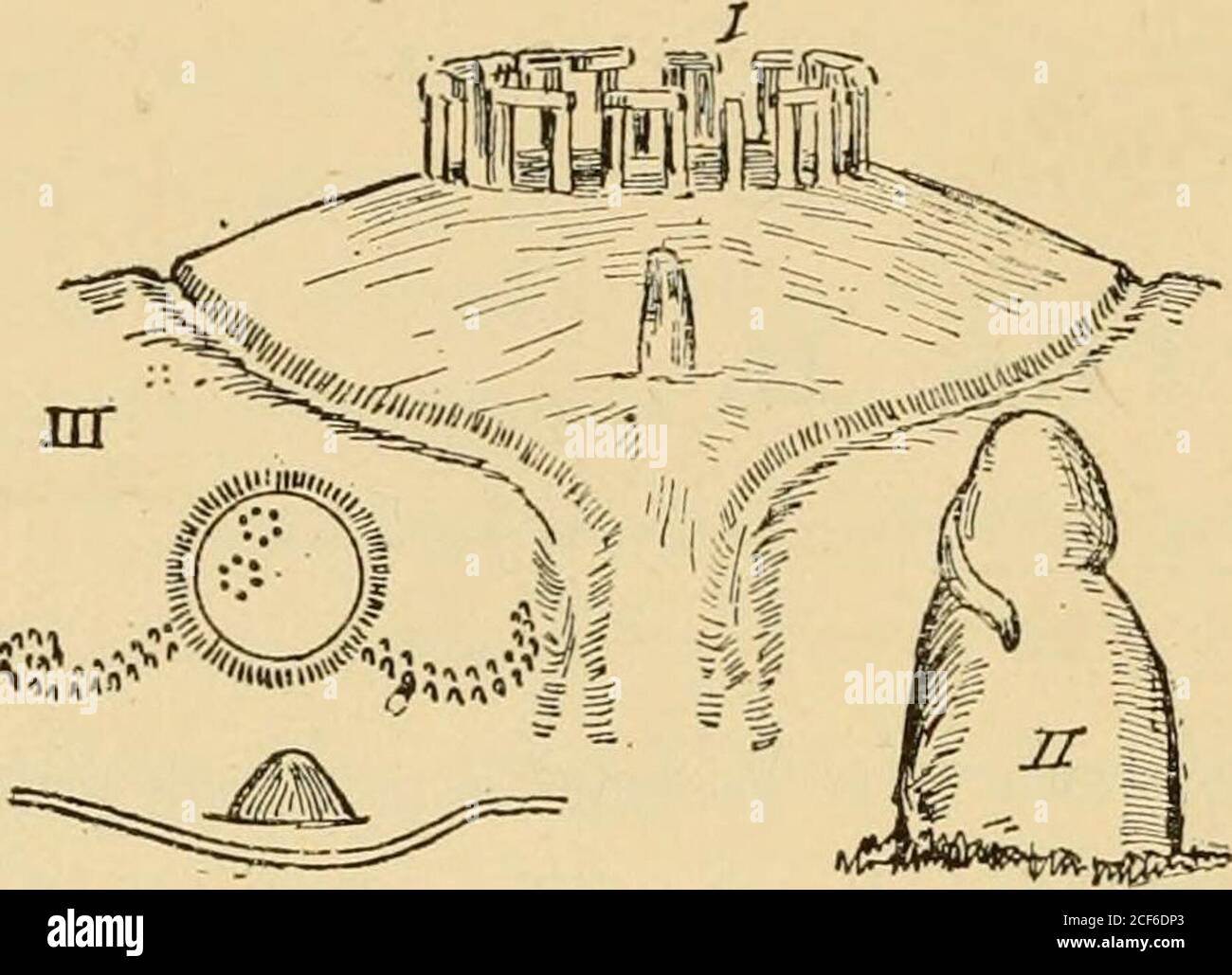 . Phallic worship : an outline of the worship of the generative organs ...