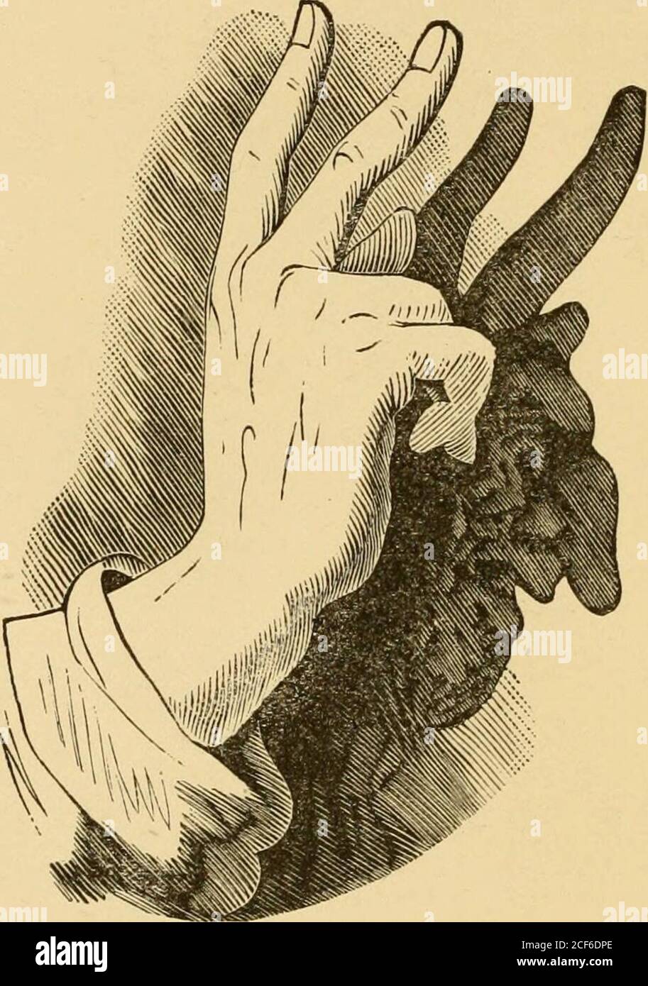 . Phallic worship : an outline of the worship of the generative organs ...