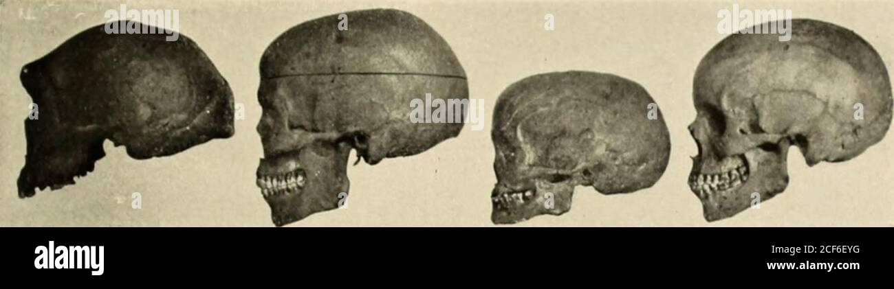. Guide leaflet. n the spinal column, rather than thrust forward as ...