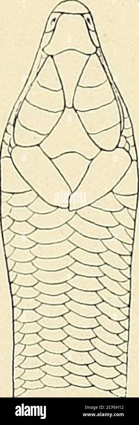 Los banos p i hi-res stock photography and images - Alamy