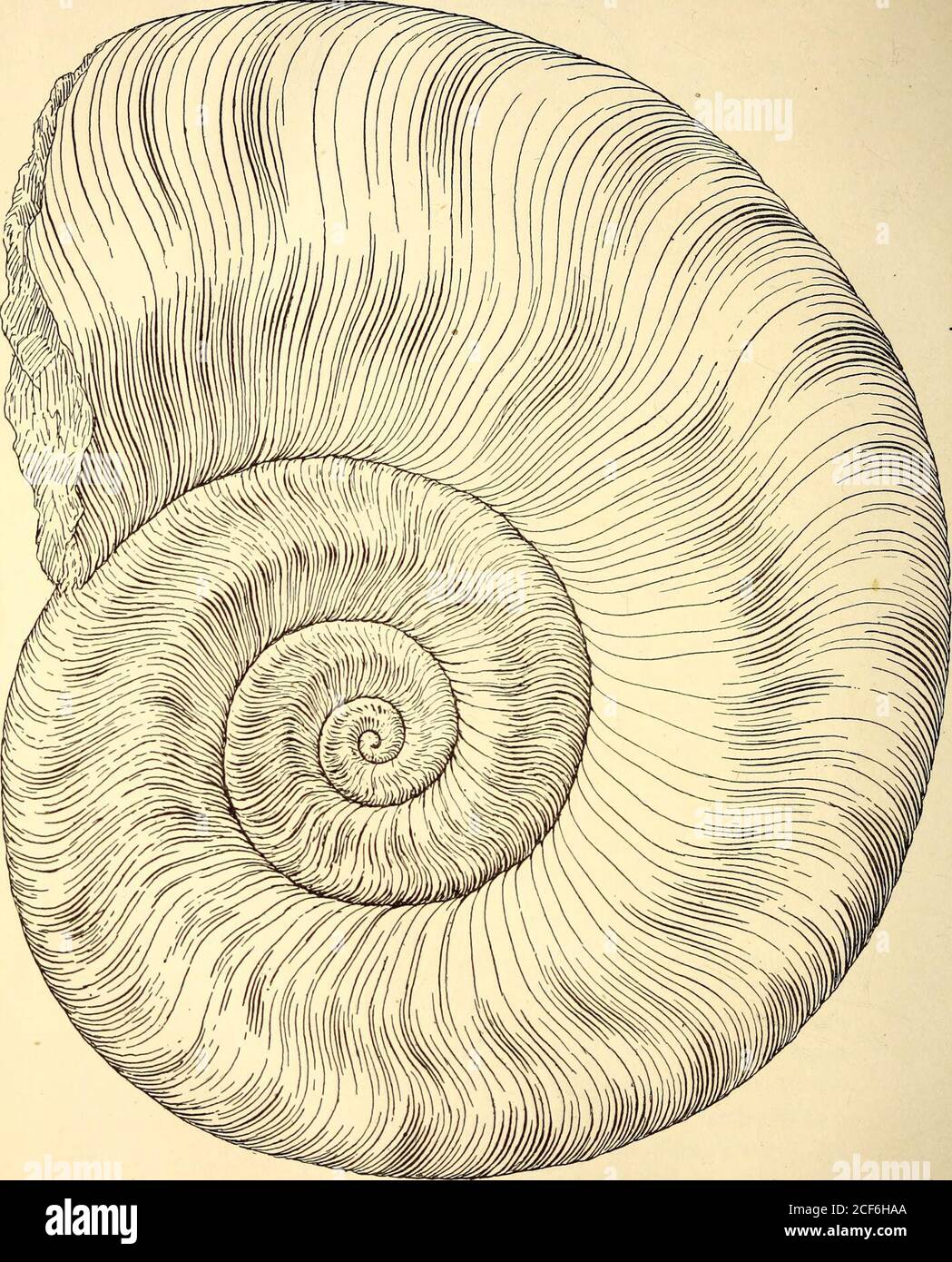 . First[-fourth] annual report of the Geological survey of Texas, 1889 ...