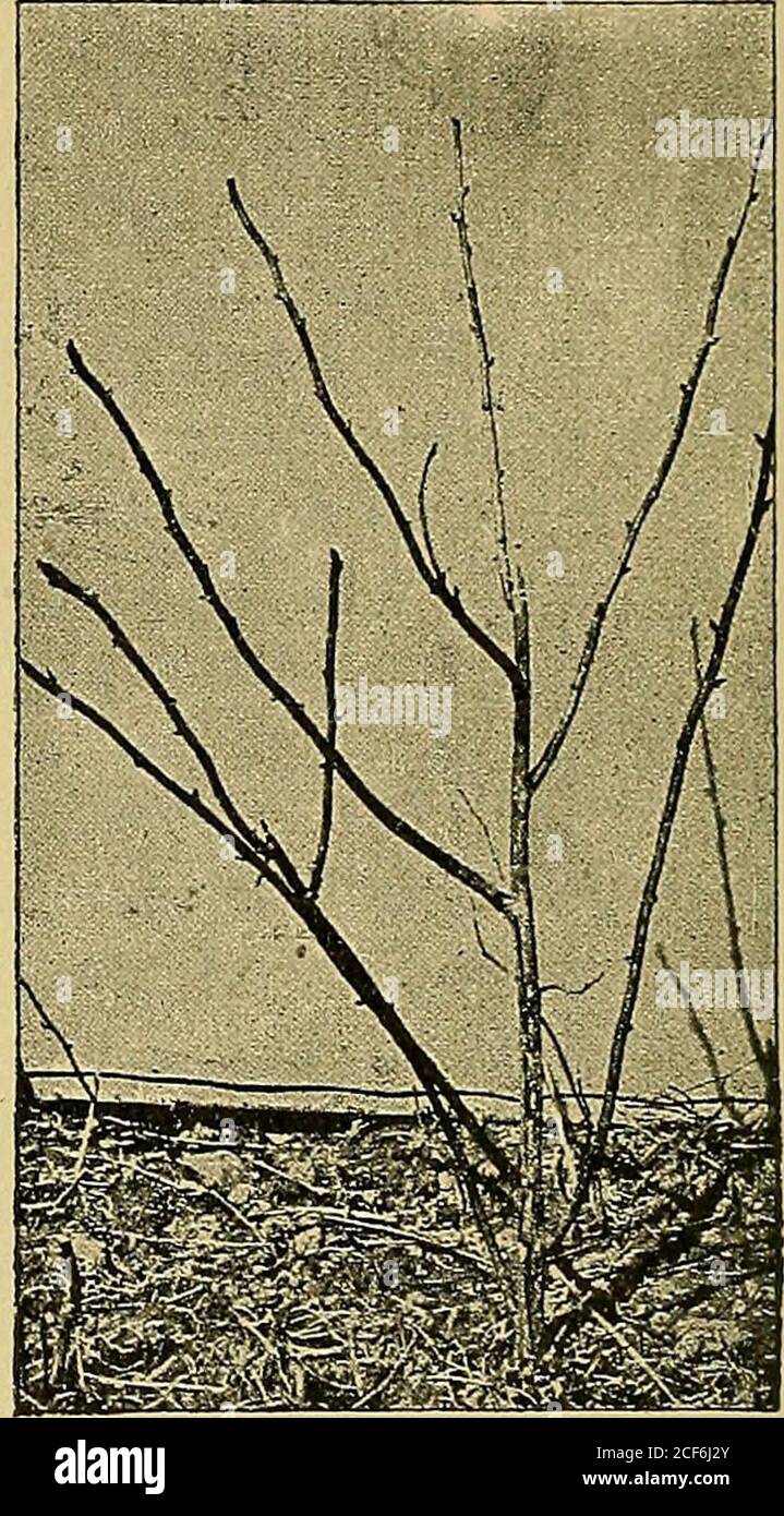 792 feet hi-res stock photography and images - Alamy