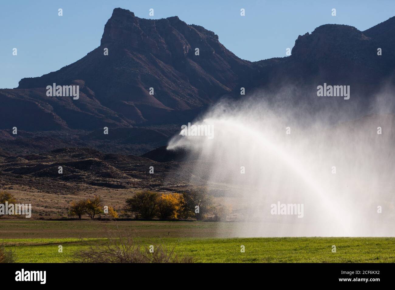 Sprinklers colorado hi-res stock photography and images - Alamy