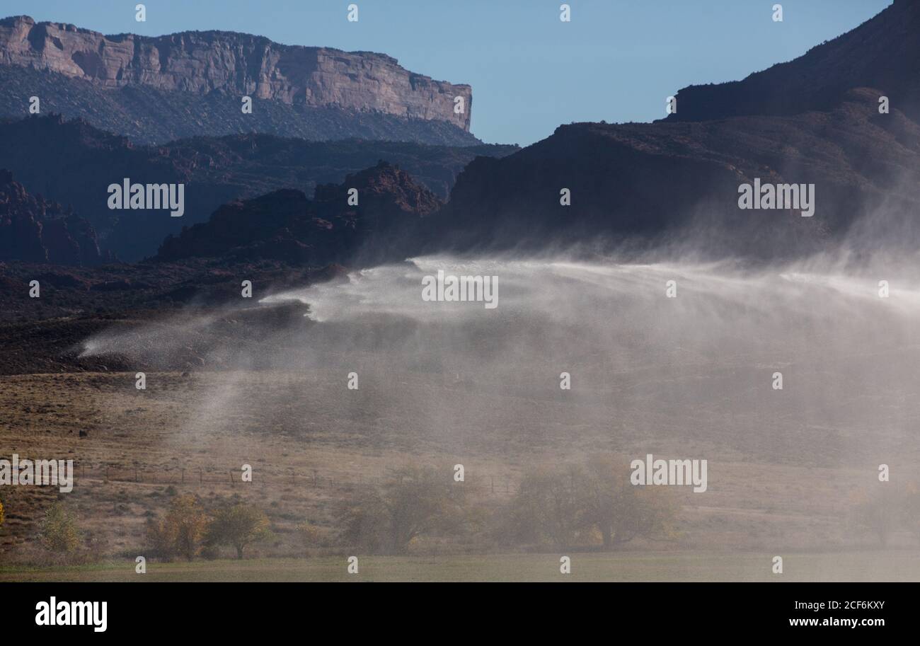 High-volume sprinkler irrigation on a ranch raising alfafa hay in the ...