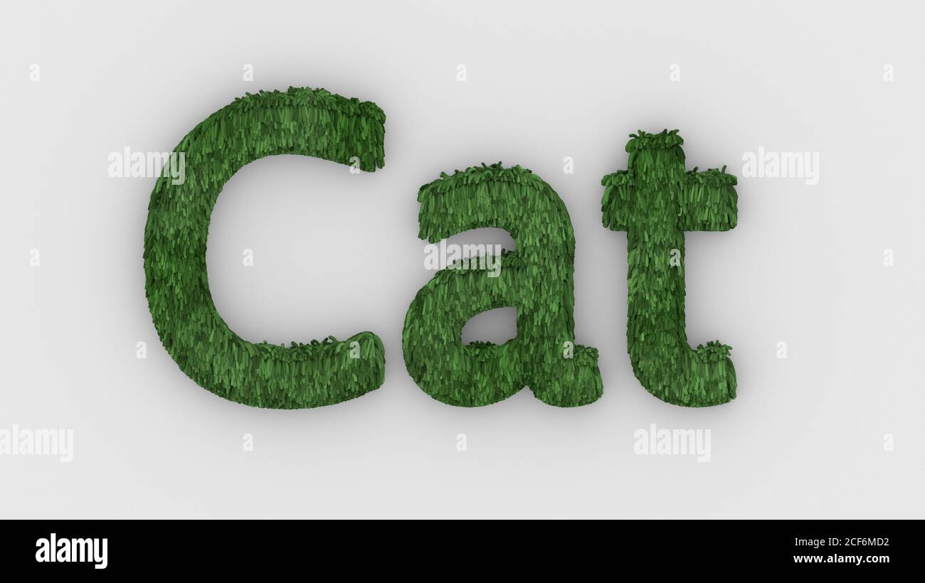 Cat - 3d word green on white background. render of furry letters. cat ...