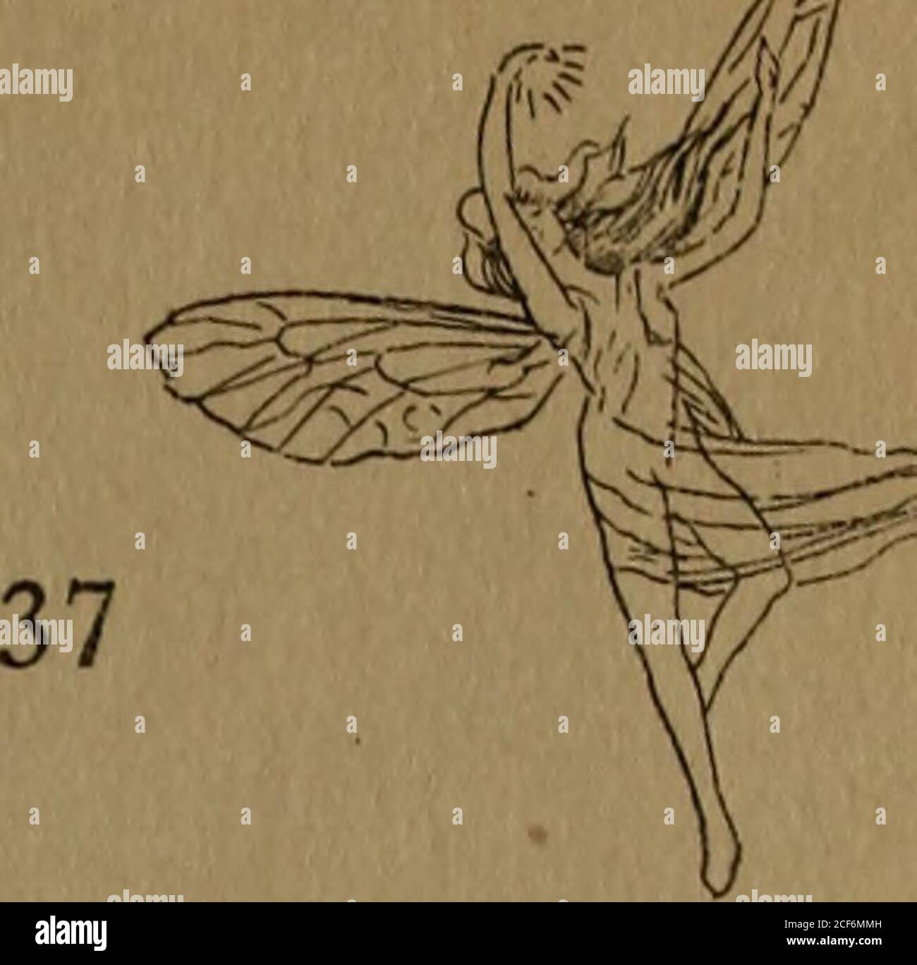 Sprite Fairy Drawing