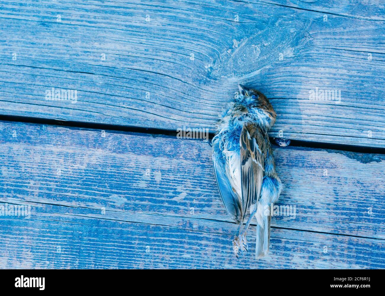 Outdoor wooden floor hi-res stock photography and images - Alamy