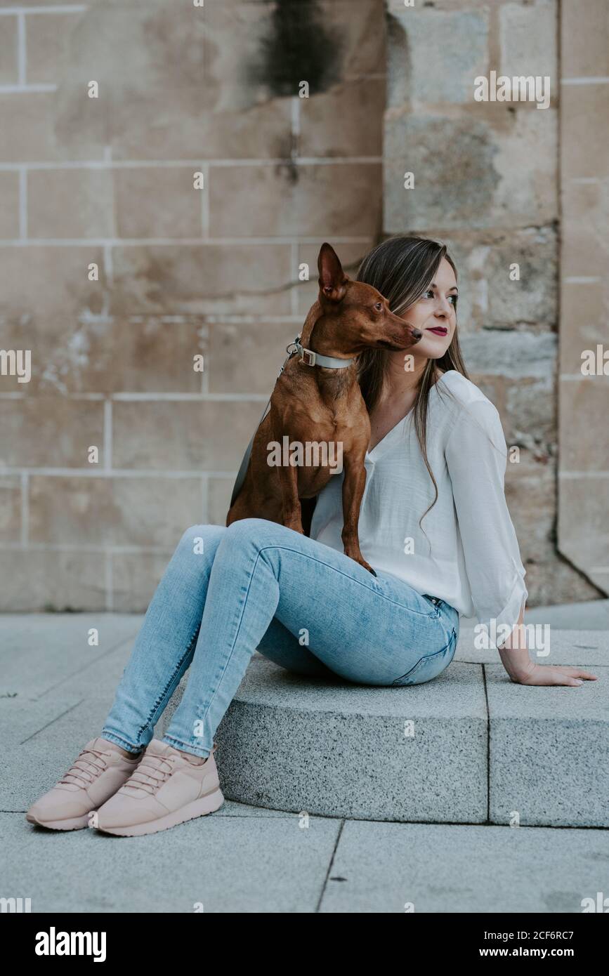 Beautiful casual Woman with hound dog sitting on concrete step on ...