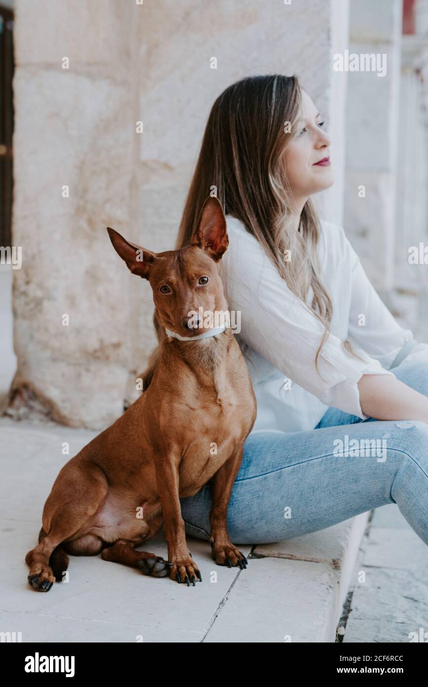 Beautiful casual Woman with hound dog sitting on concrete step on ...
