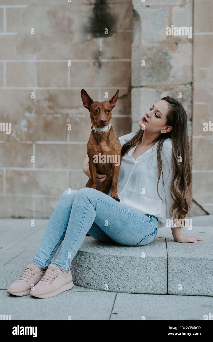 Beautiful casual Woman with hound dog sitting on concrete step on ...