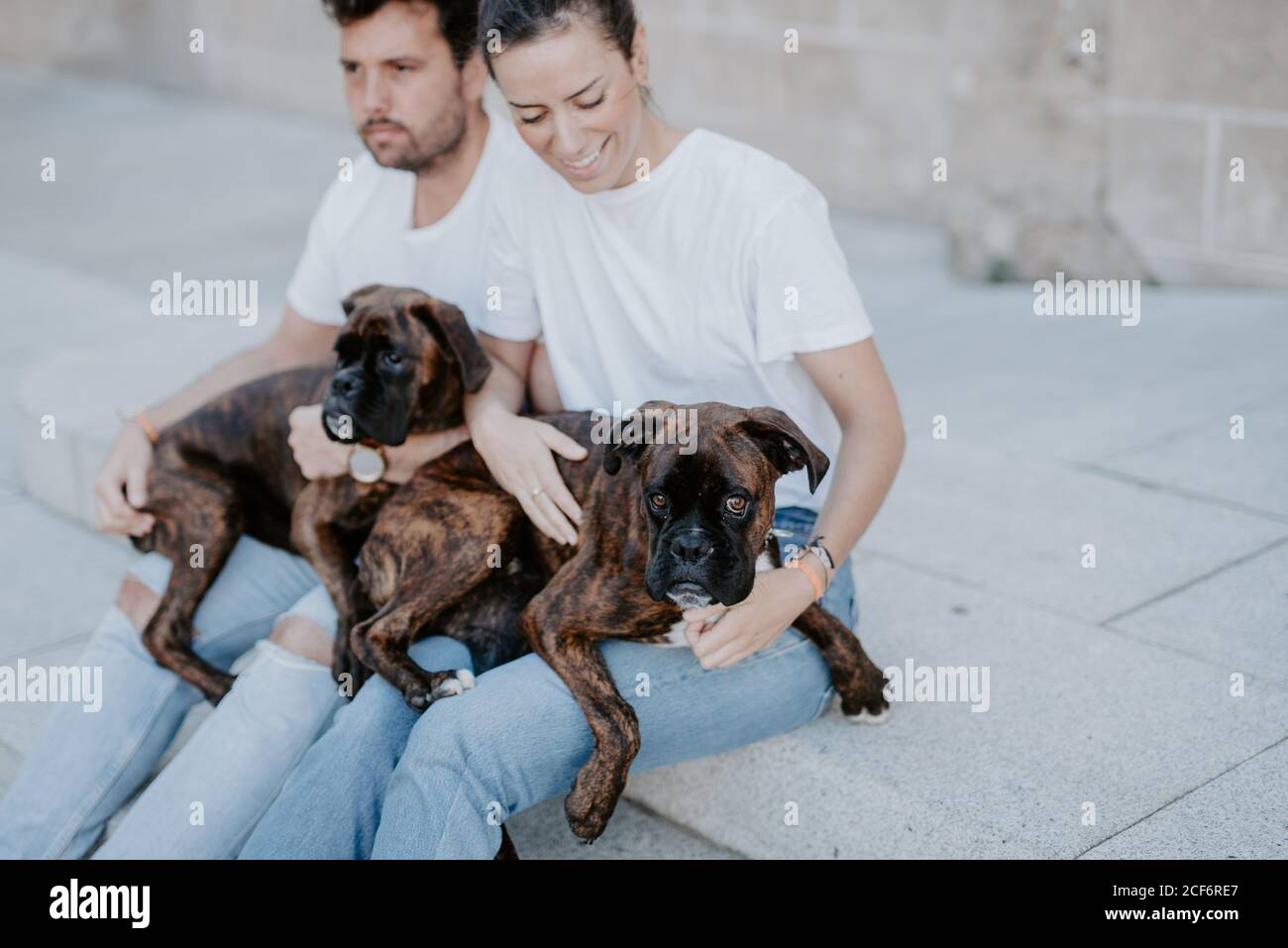 Boxer dogs hi-res stock photography and images - Alamy