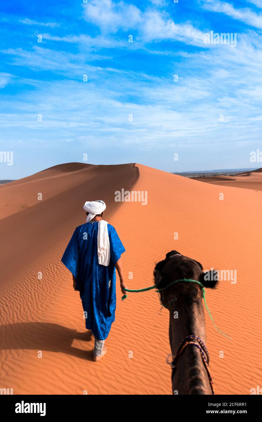 Back view of man in traditional Arabian wear leading camel by bridle ...