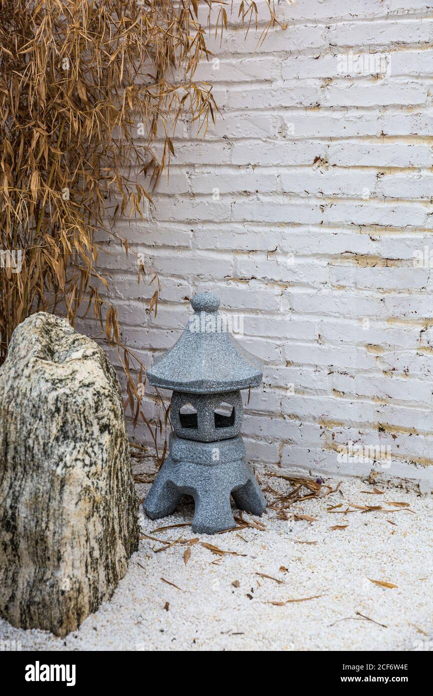 Withered reed hi-res stock photography and images - Alamy