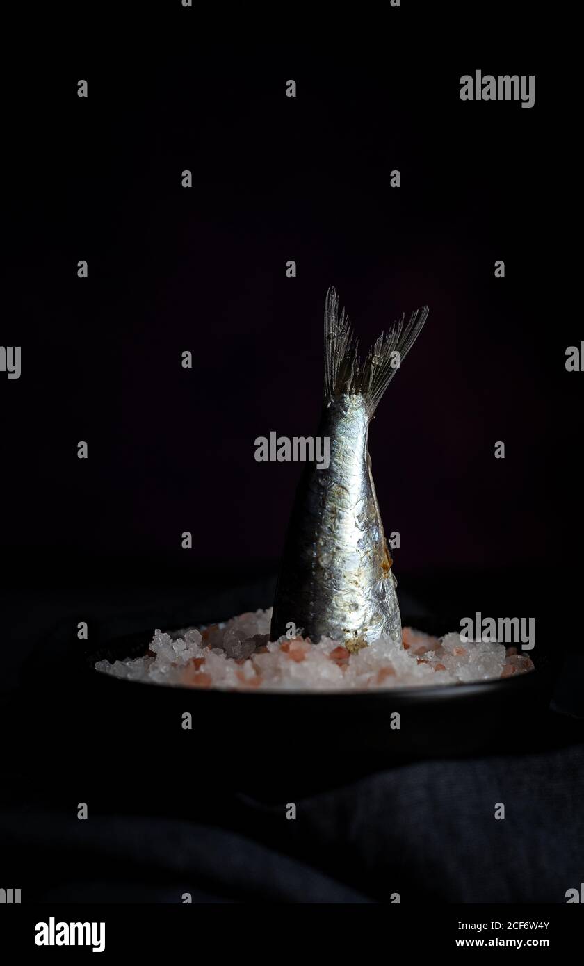 Sardine preparation hi-res stock photography and images - Alamy
