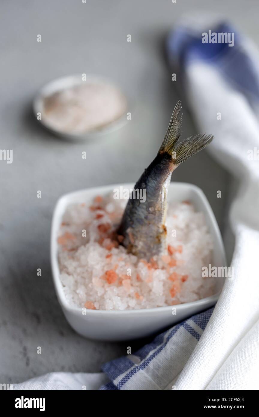 From above savory tail of marine fish sticking out from plate full of ...