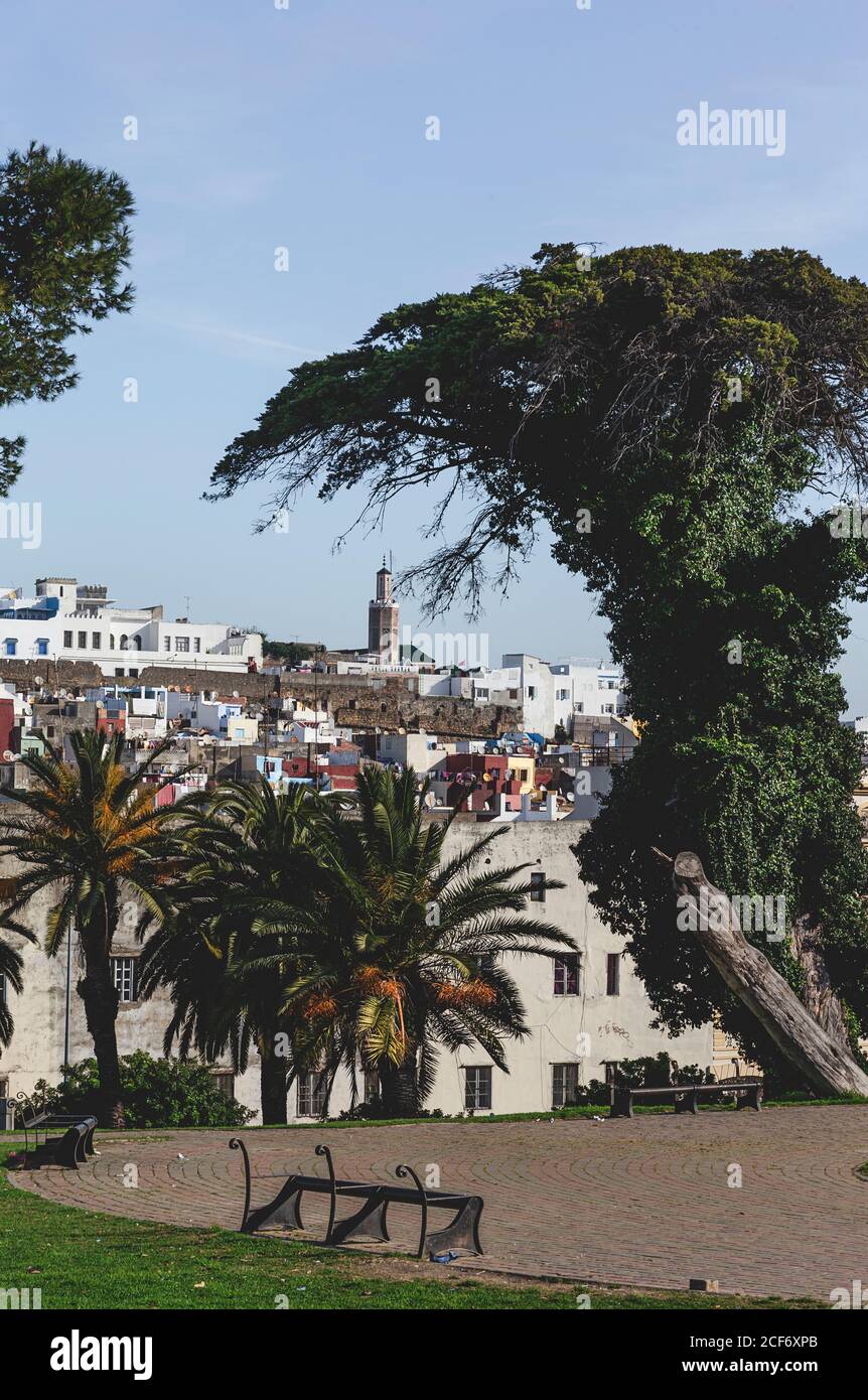 Tangier roof garden hi-res stock photography and images - Alamy