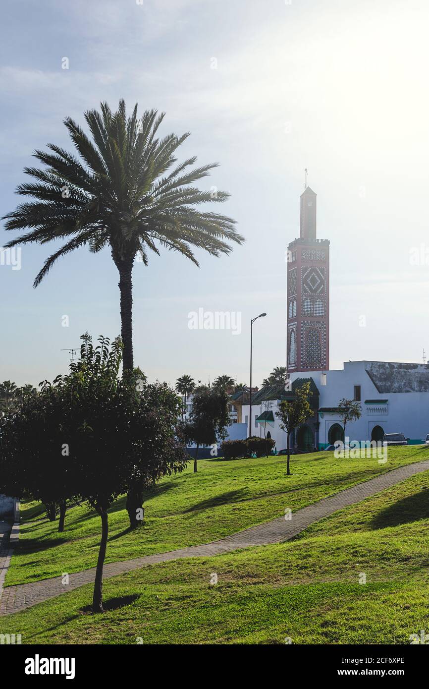 Tangier morocco garden hi-res stock photography and images - Alamy