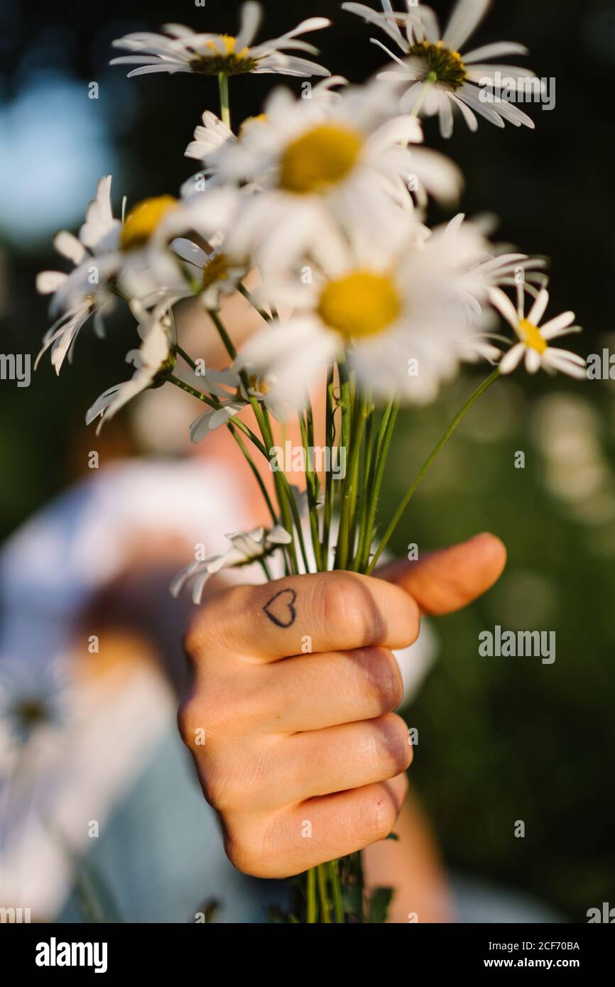 Chamomile Flower Tattoo