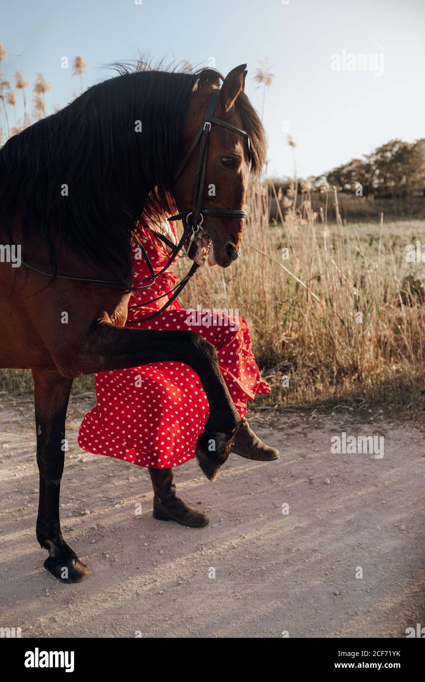 Graceful lady walking in rural hi-res stock photography and images - Alamy