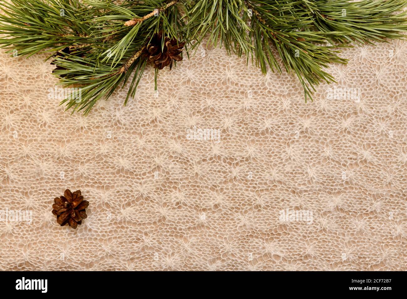 Green thick pine branches at the top of the frame and a swollen bump at ...