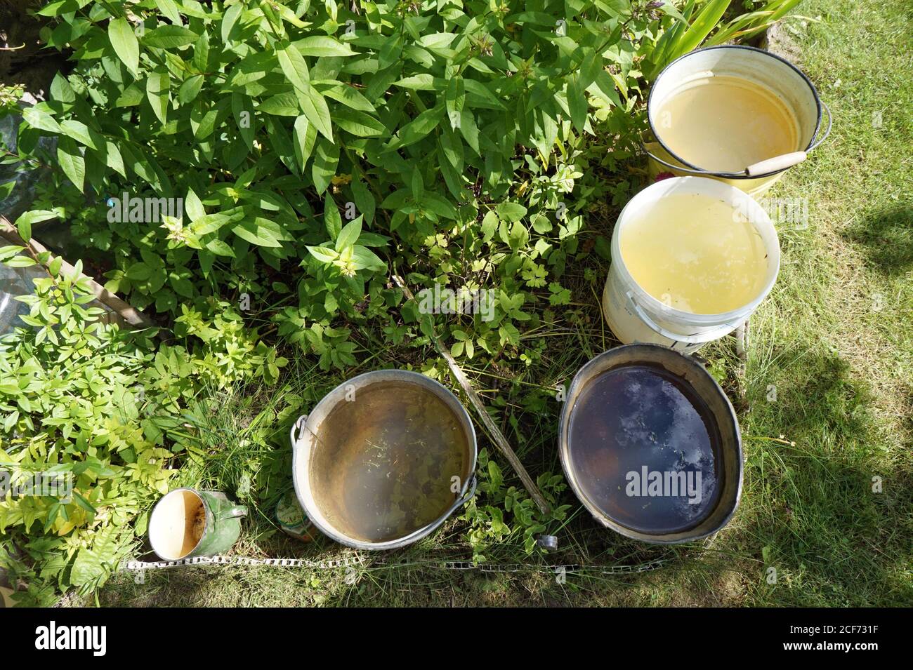 Hot summer day and dirty water in buckets in garden. July sunny day ...