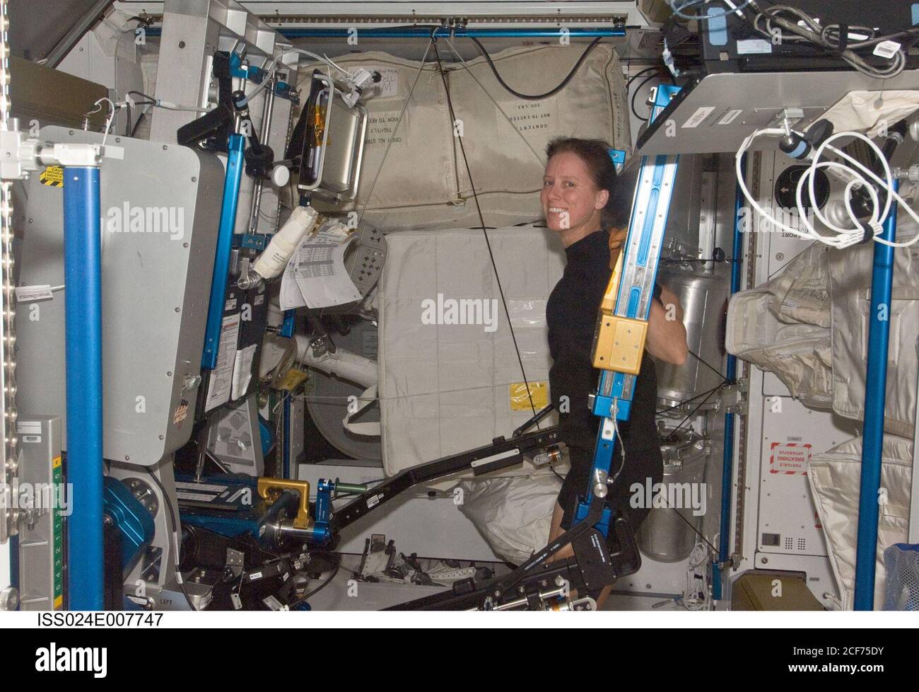 Shannon Walker High Resolution Stock Photography and Images - Alamy