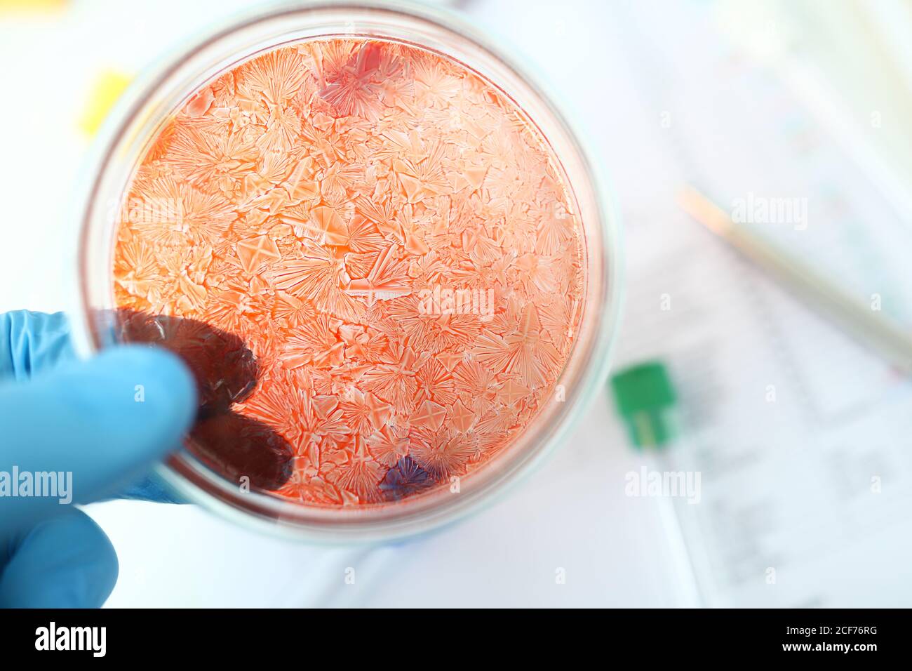 Bio assay of matter Stock Photo - Alamy