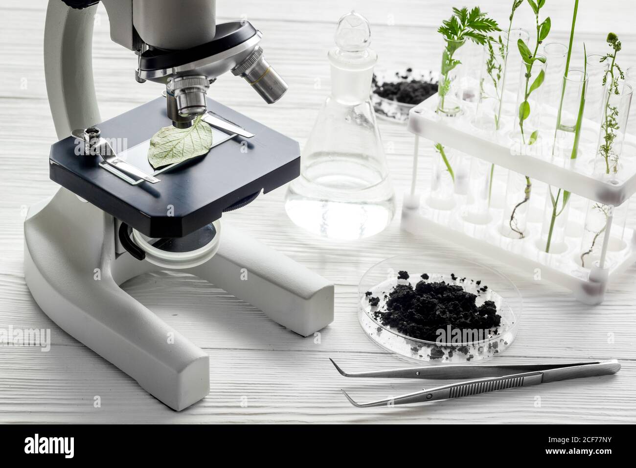 Test floral samples with microscope in biological lab Stock Photo - Alamy