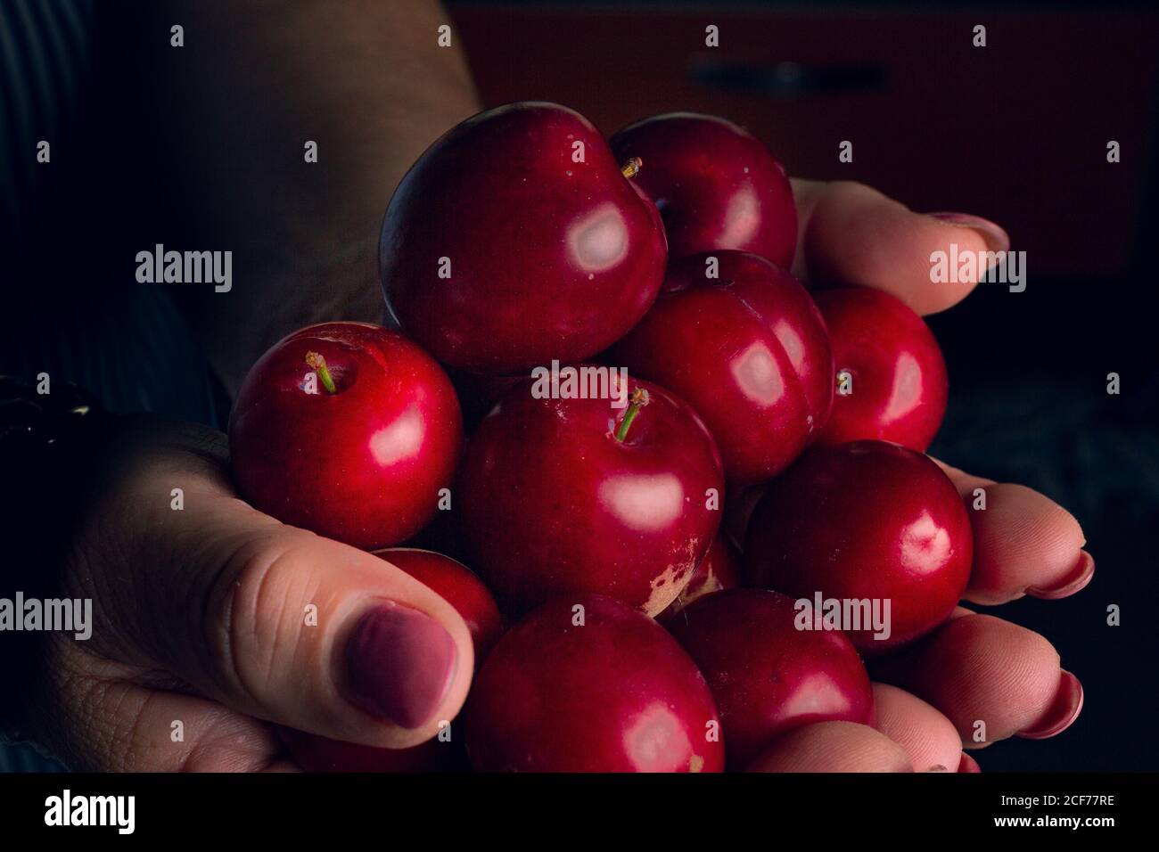 Closeup hands with handful of shiny sweet fruit against dark background ...