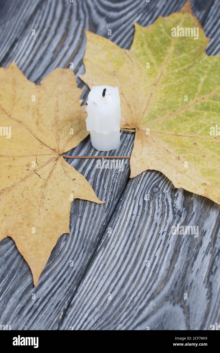 Rounded stub hi-res stock photography and images - Alamy