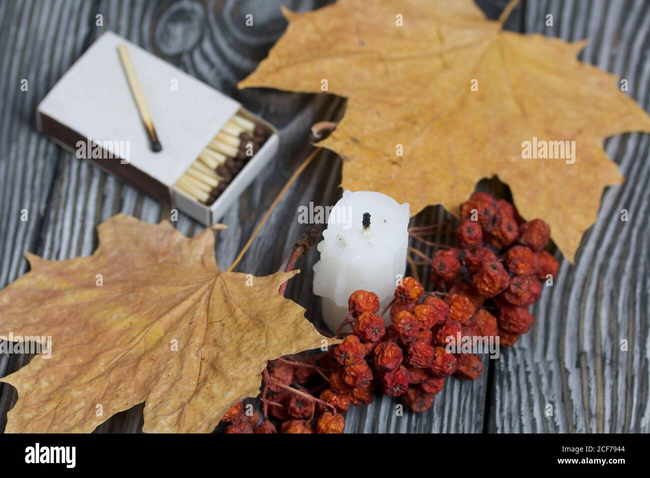 Candle stub on brushed pine boards. Nearby are a box of matches, dried ...