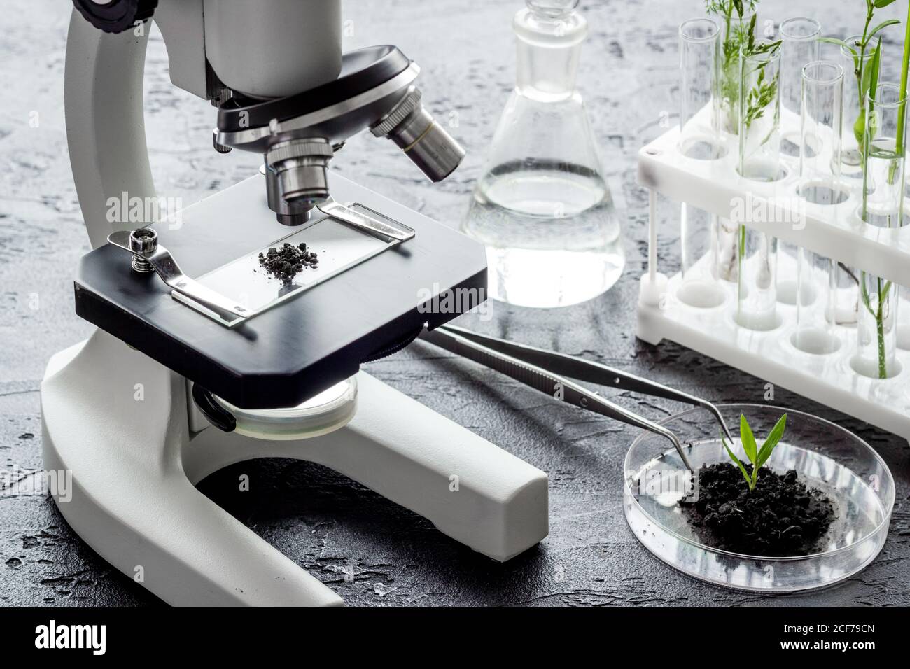 Microscope with plants in biological laboratory. Biological chemistry ...