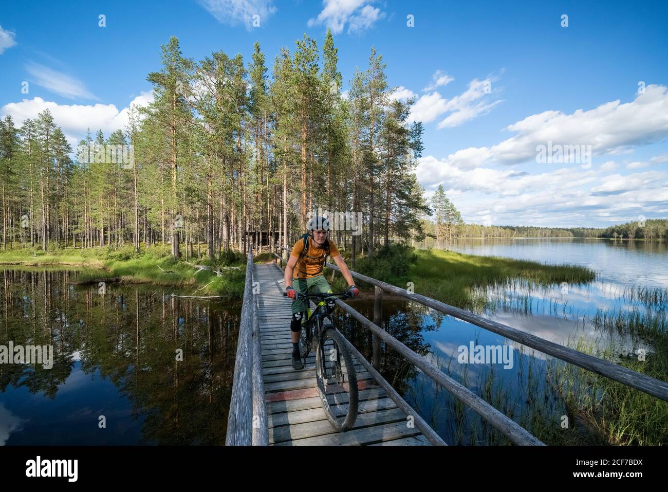 Mountain biking in Hossa National Park, Finland Stock Photo - Alamy