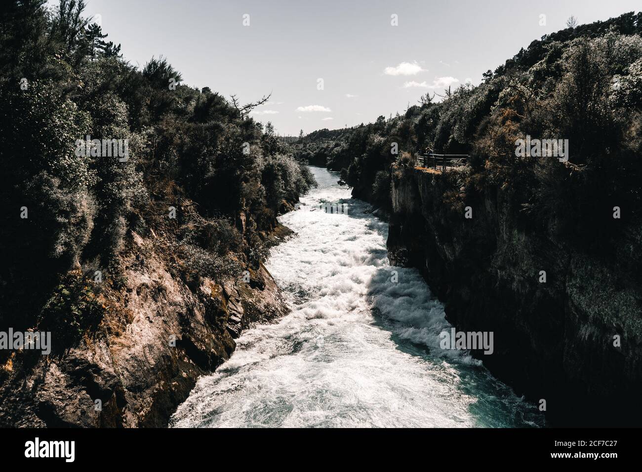 Jungle Ravine Trees High Resolution Stock Photography and Images - Alamy