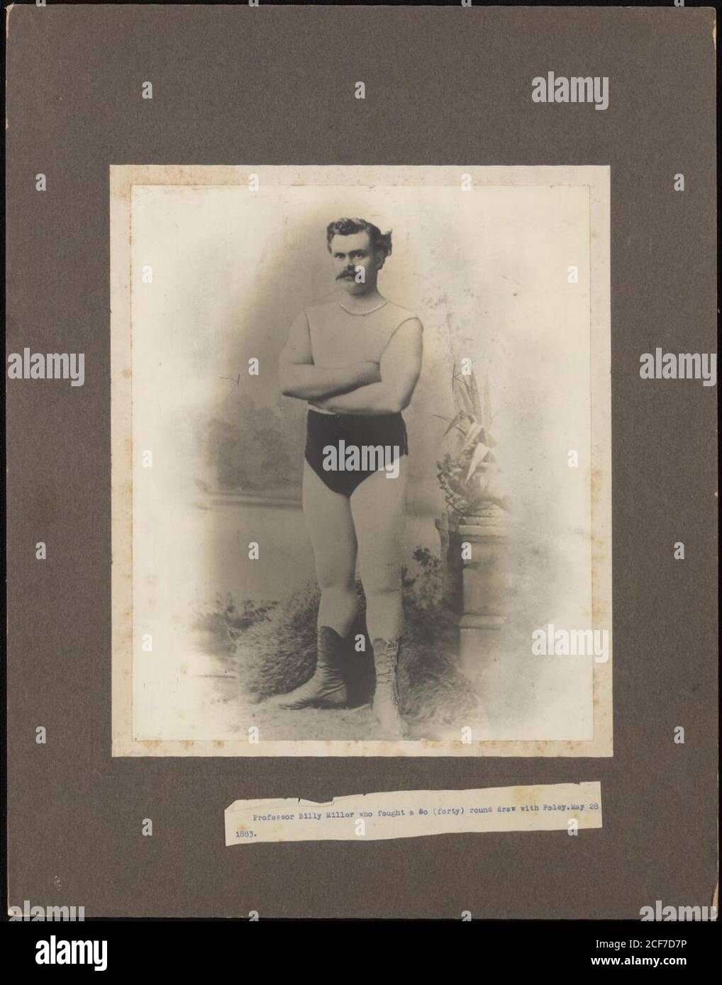 Boxer portrait vintage hi-res stock photography and images - Alamy