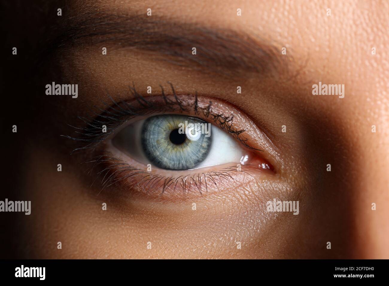Amazing female blue and green colored wide opened eye Stock Photo - Alamy