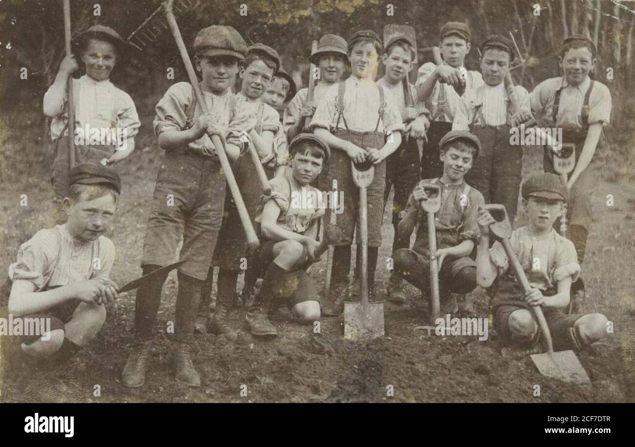 Montacute australia hi-res stock photography and images - Alamy