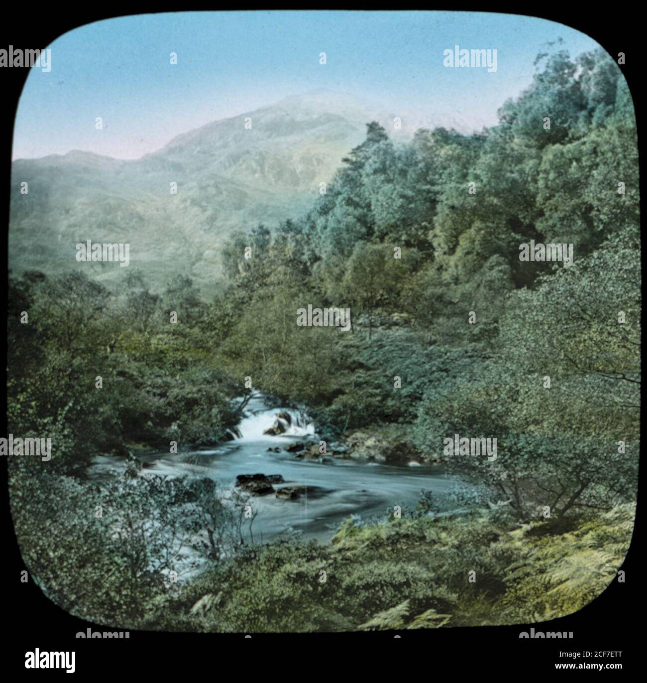 Ben Flynn High Resolution Stock Photography and Images - Alamy