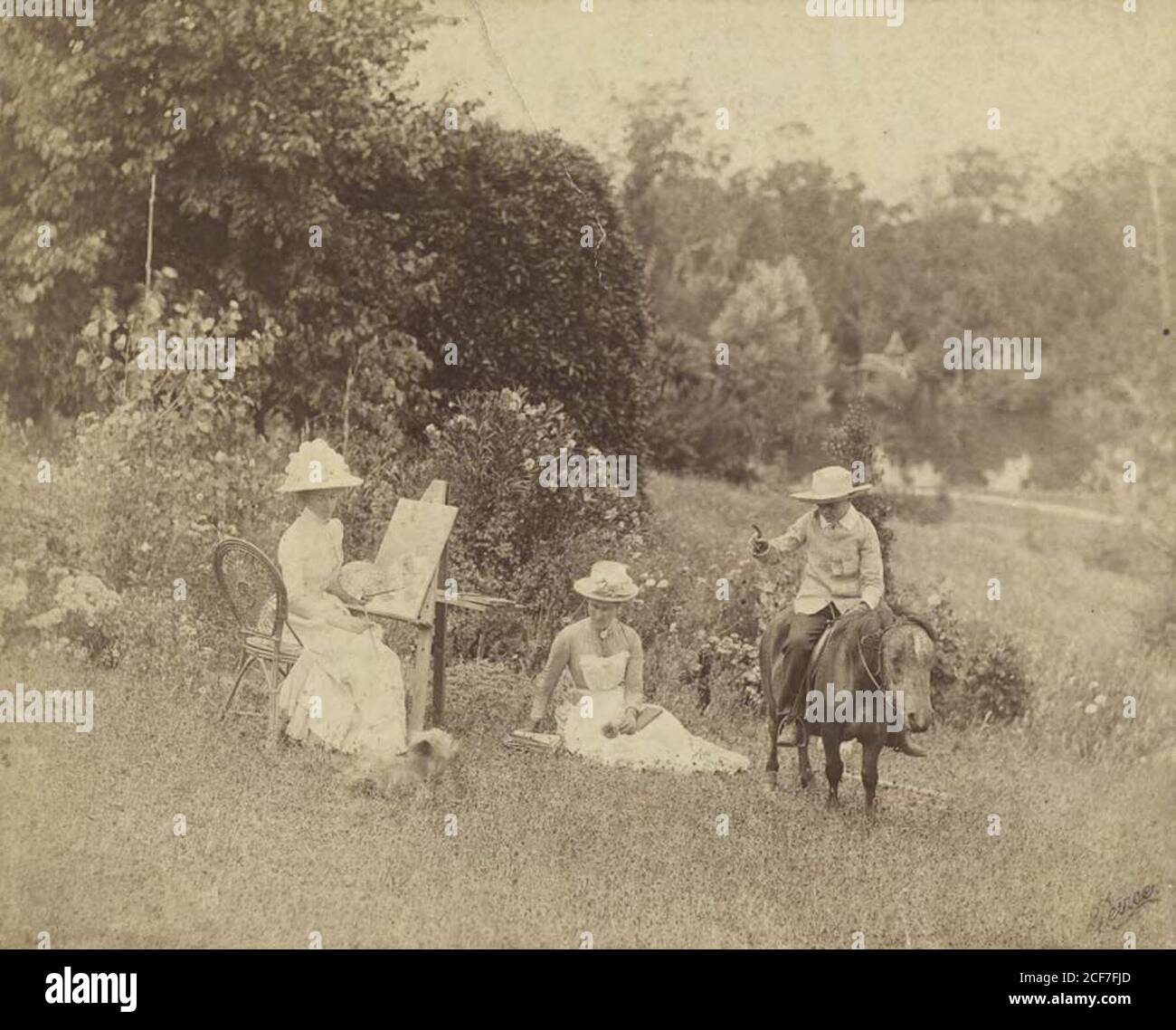 Ellis Rowan High Resolution Stock Photography and Images - Alamy