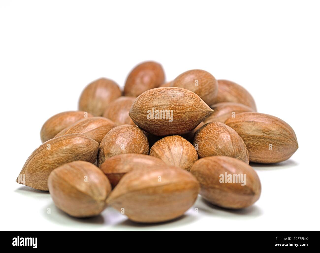 Pekannuesse hi-res stock photography and images - Alamy