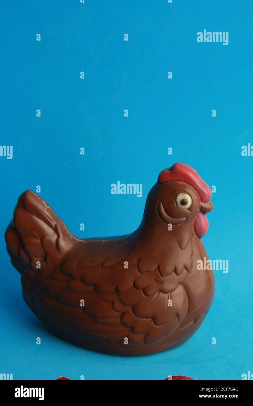 Closeup shot of the chocolate hen on the blue background Stock Photo ...